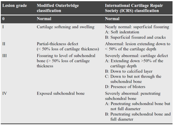 Osteochondral Injury of the Knee joint - Free Essay Example by Essaylead
