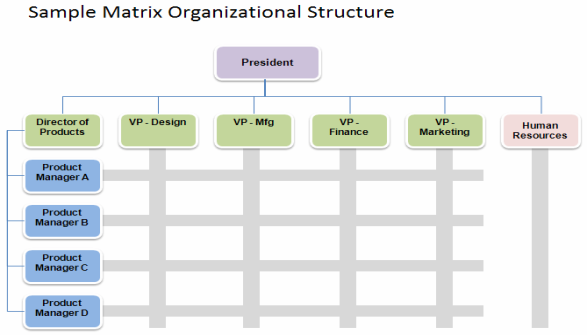 Effects Of Organisational Structure On HRM In A Business