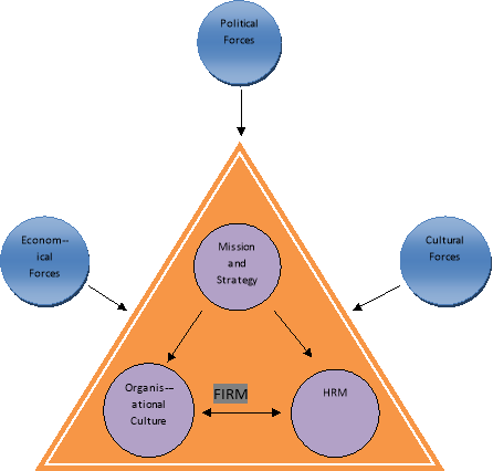 Strategic HRM in Organisations | FreebookSummary