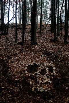 Película: Skull Forest (2012) | abandomoviez.net