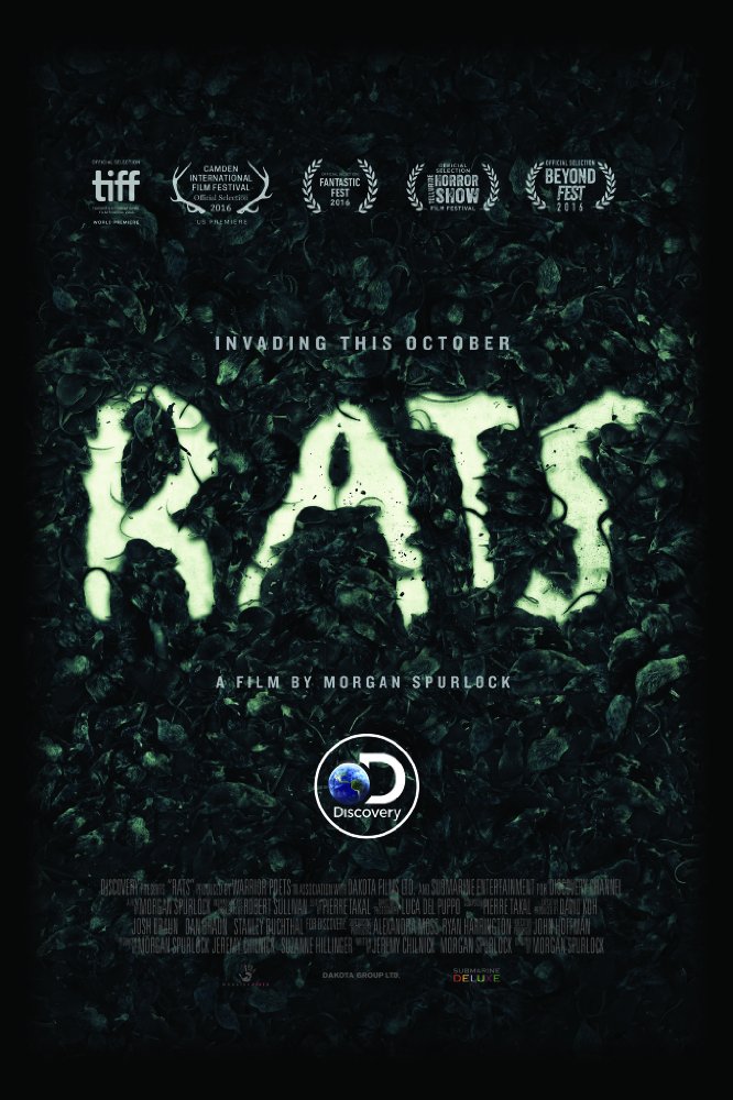 Película: Ratas (2016) | abandomoviez.net