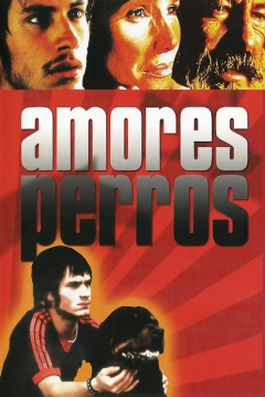 Película: Amores Perros (2000) | abandomoviez.net