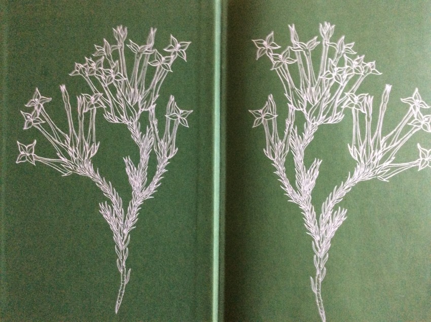 Ericas In South Africa Signed By Both Authors 1967 Auction 61 
