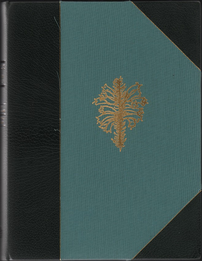 Ericas Of South Africa The Publishers Copy Auction 61