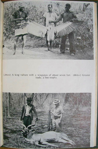 Pondoro - Last Of The Ivory Hunters - Auction #17 | AntiquarianAuctions.com