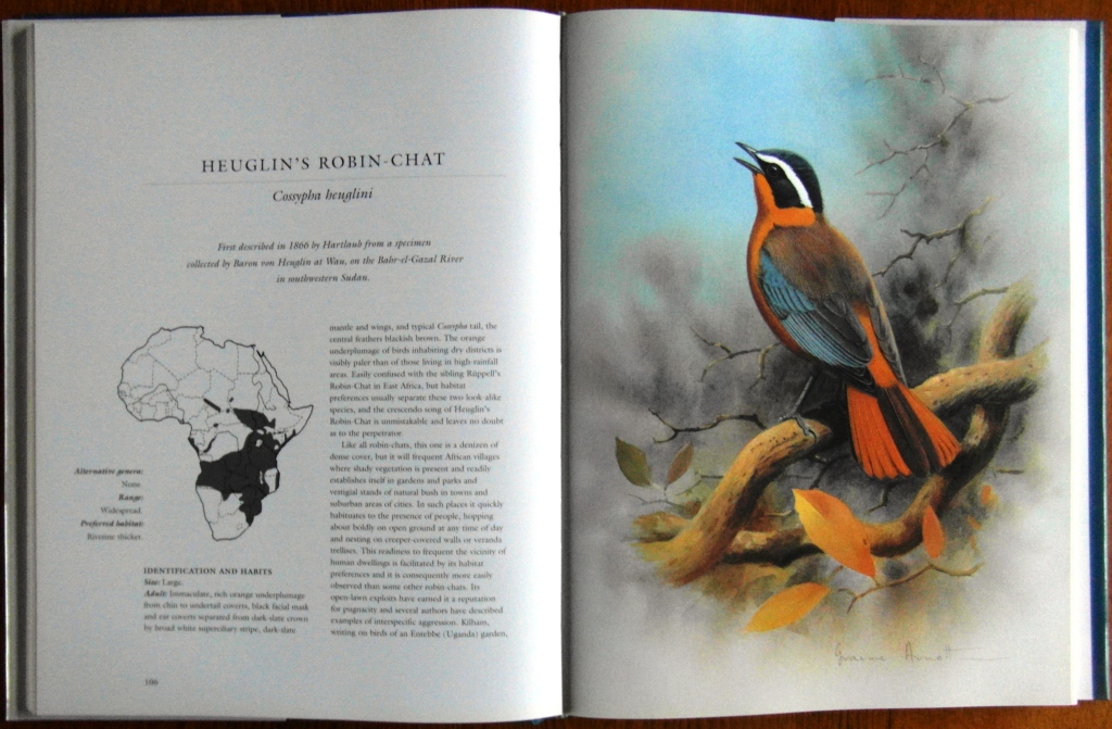 Robins Of Africa - Auction #40 | AntiquarianAuctions.com