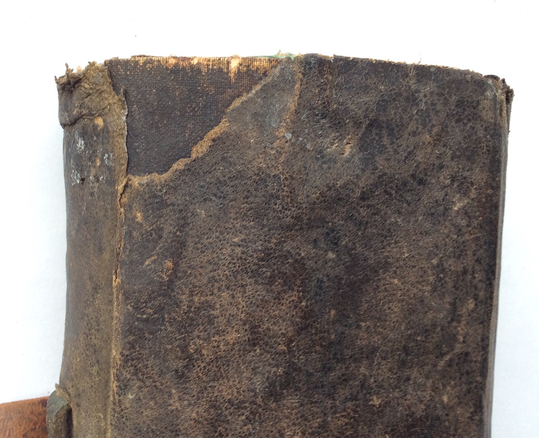 [fly Wallet] The Unique Fly Book [with:] The Angler's Complete Guide ...