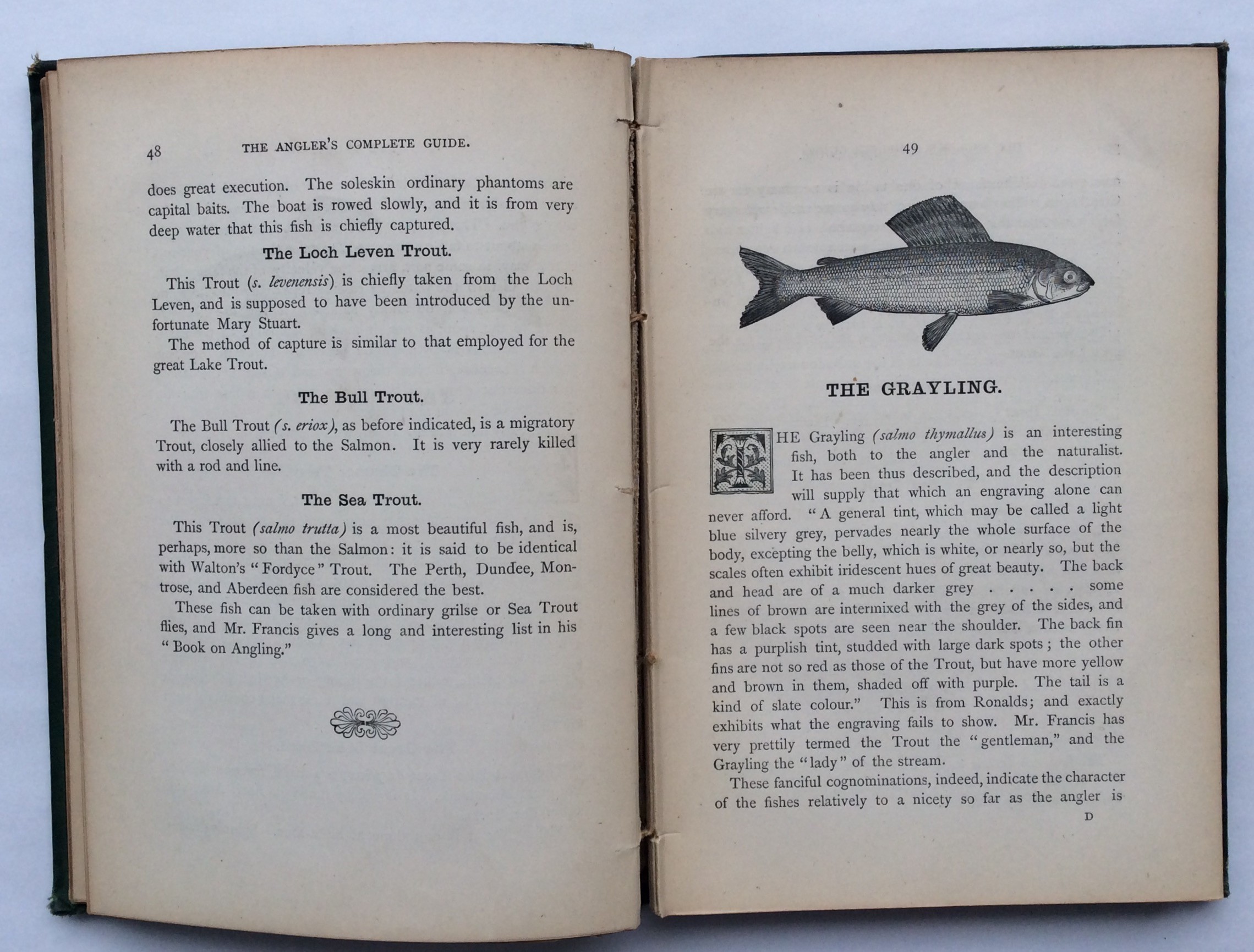 [fly Wallet] The Unique Fly Book [with:] The Angler's Complete Guide ...