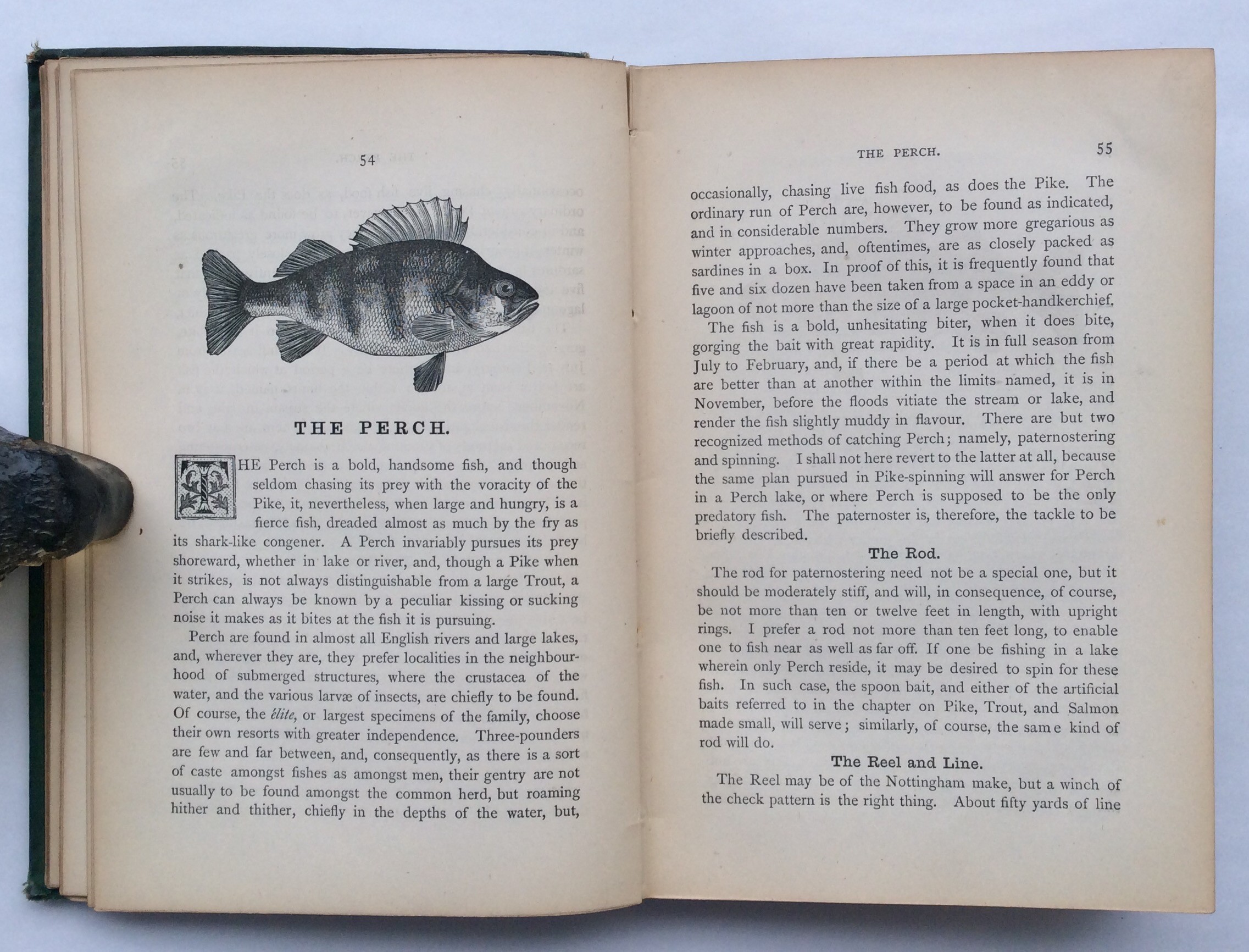 [fly Wallet] The Unique Fly Book [with:] The Angler's Complete Guide ...