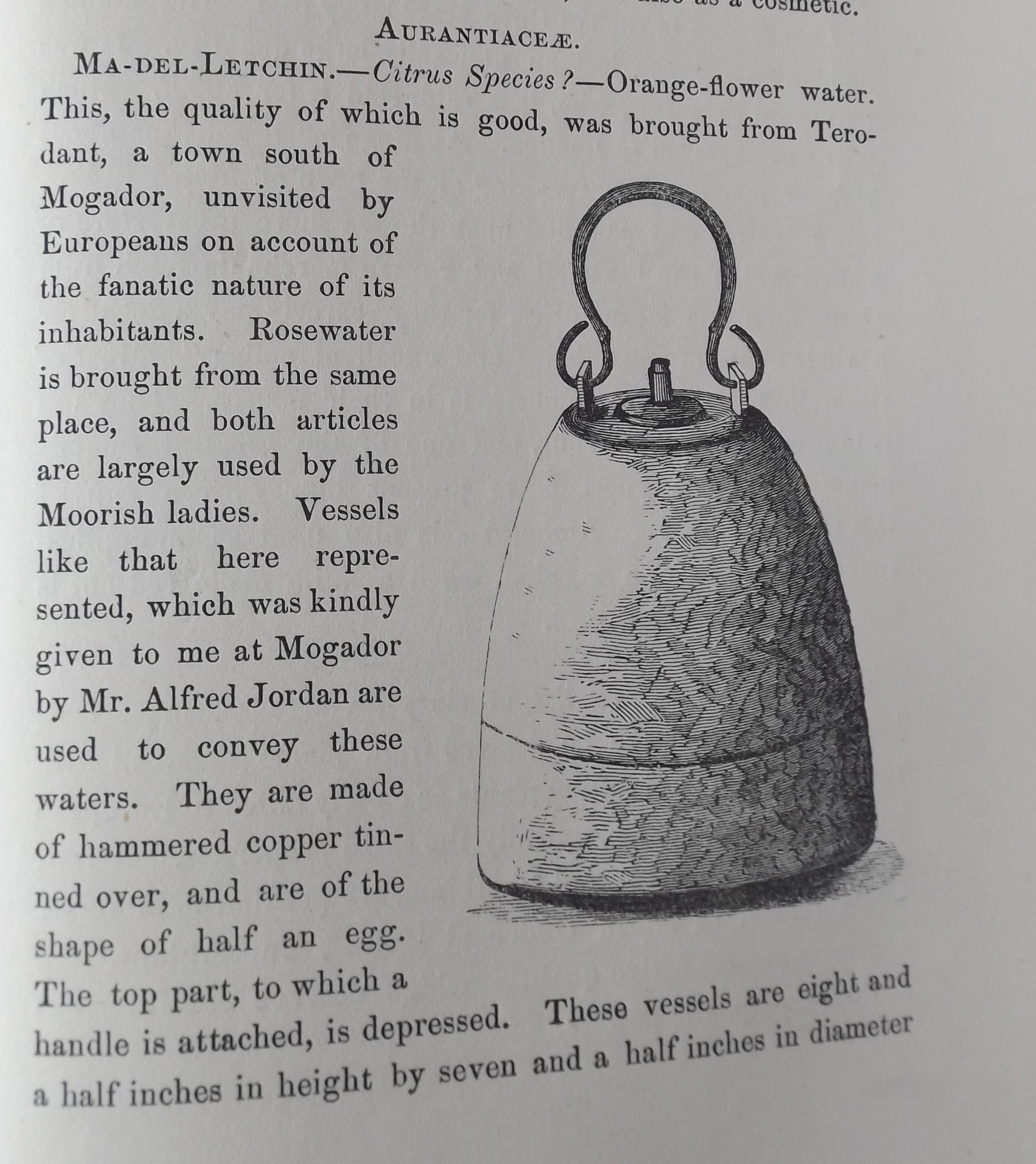 Morocco And The Moors: - Auction #59 | AntiquarianAuctions.com