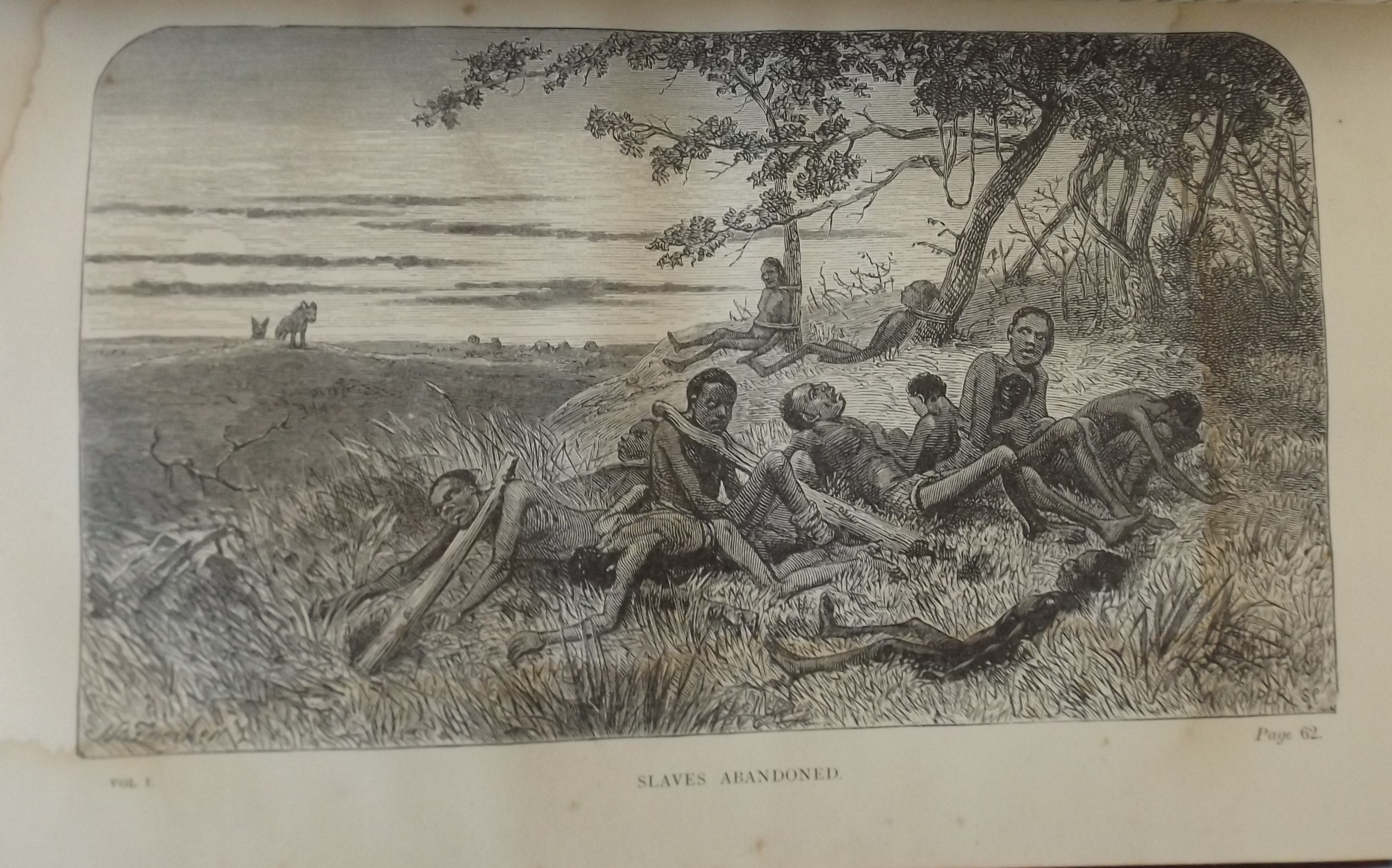 The Last Journals Of David Livingstone In Central Africa, From 1865 To ...