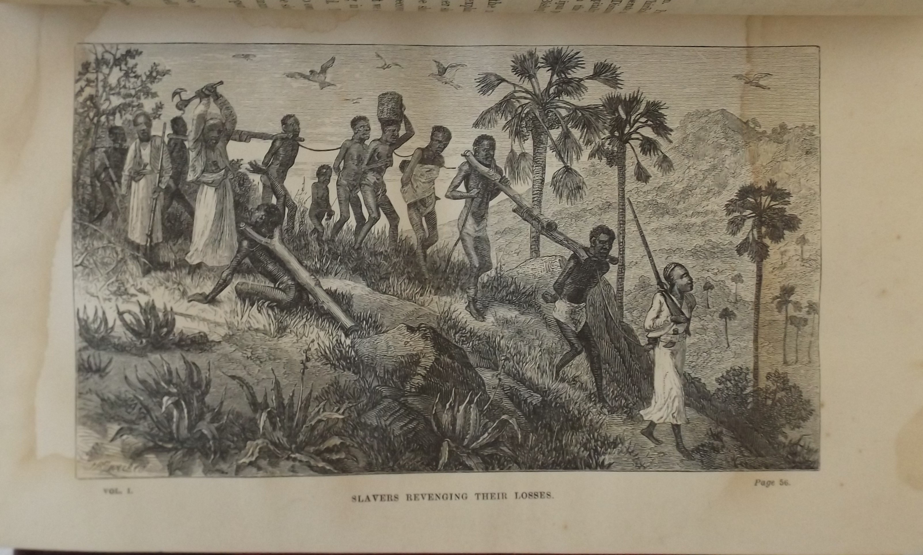 The Last Journals Of David Livingstone In Central Africa, From 1865 To ...