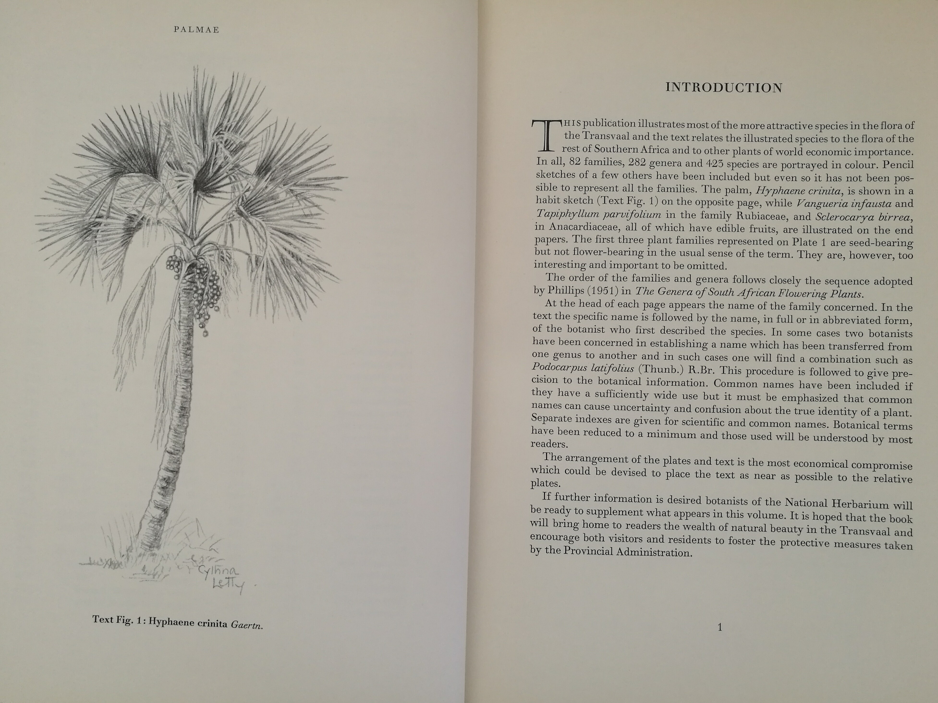 Wild Flowers Of The Transvaal (signed By Cythna Letty On The Title Page ...