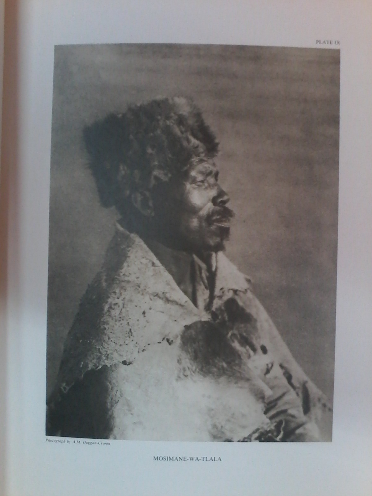 Bechuana - Auction #71 | AntiquarianAuctions.com