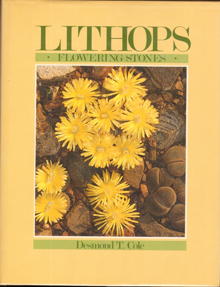Lithops, Flowering Stones - Auction #71 | AntiquarianAuctions.com