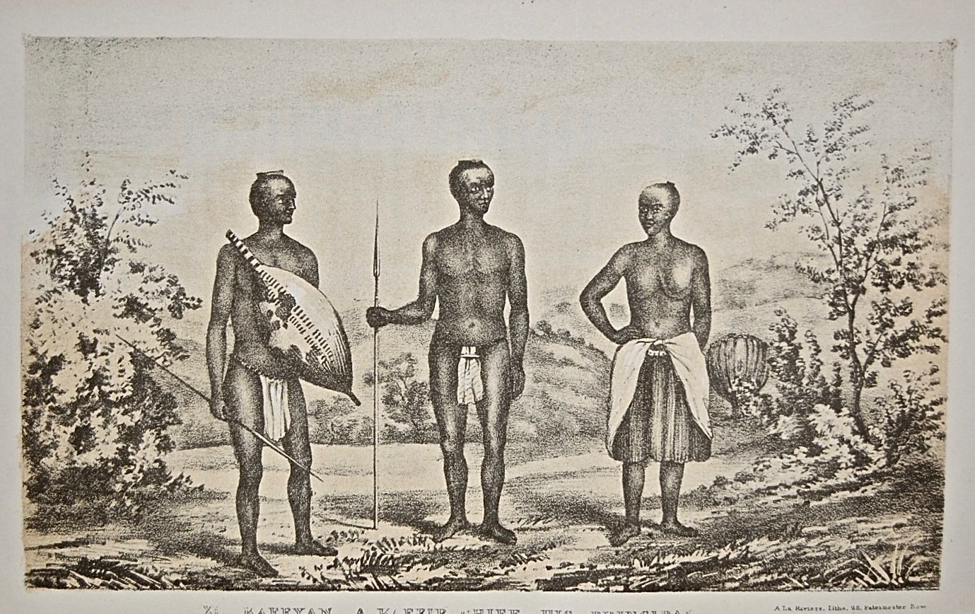 History Of The Colony Of Natal, South Africa. - Auction #87 ...