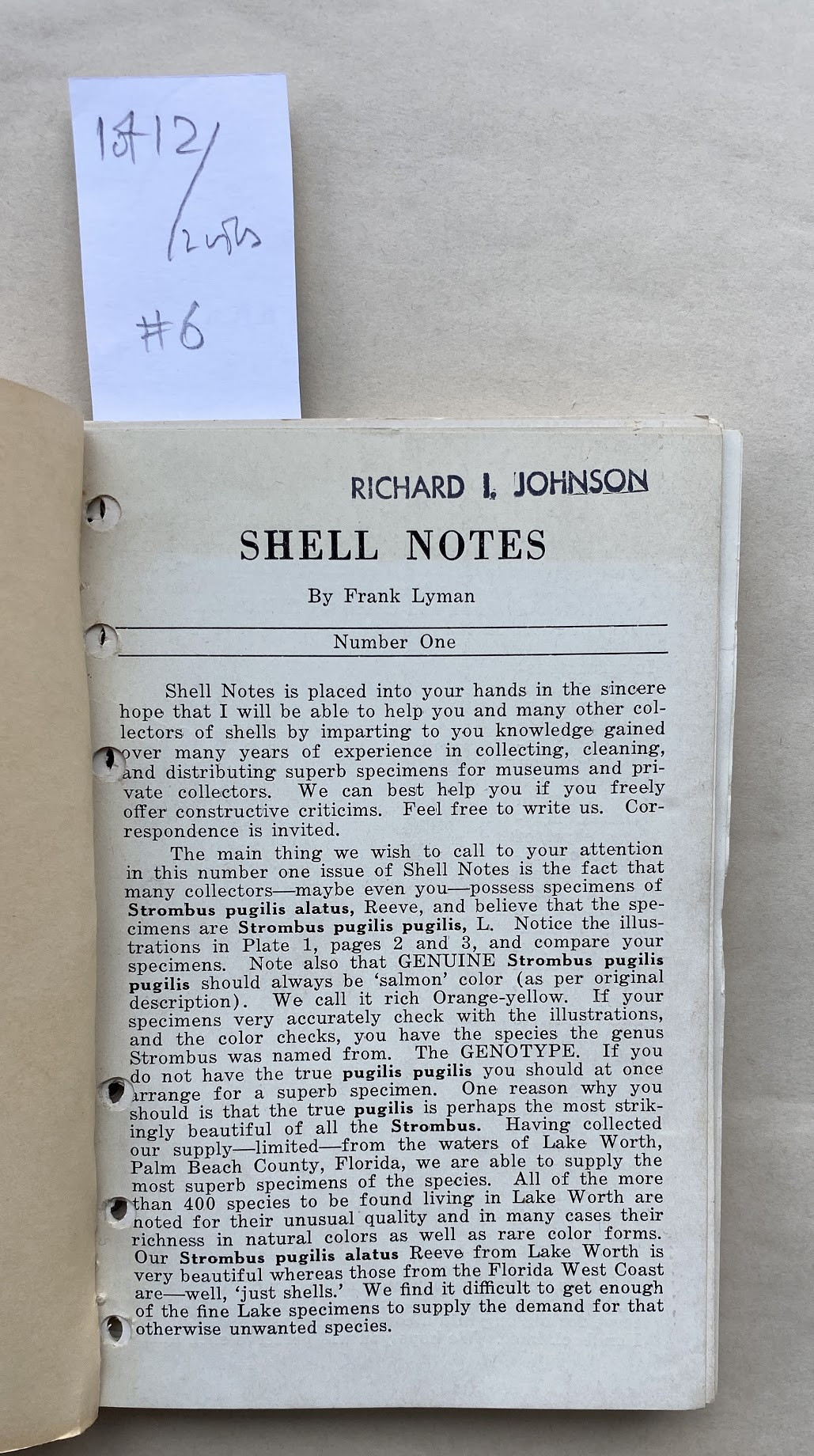 [drop-head Title] Shell Notes. - Auction #6 | AntiquarianAuctions.com