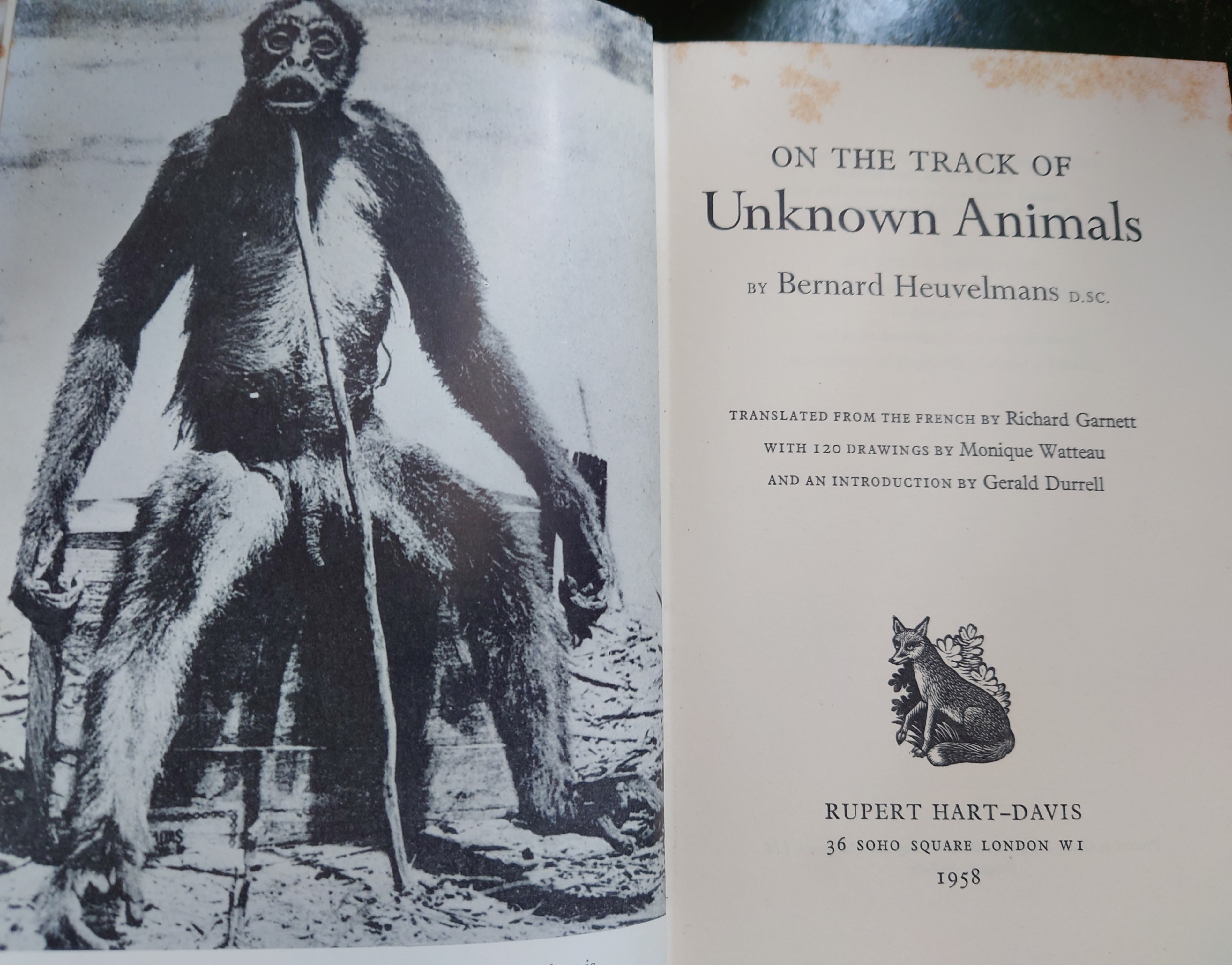 On The Track Of Unknown Animals - Auction #98 | AntiquarianAuctions.com