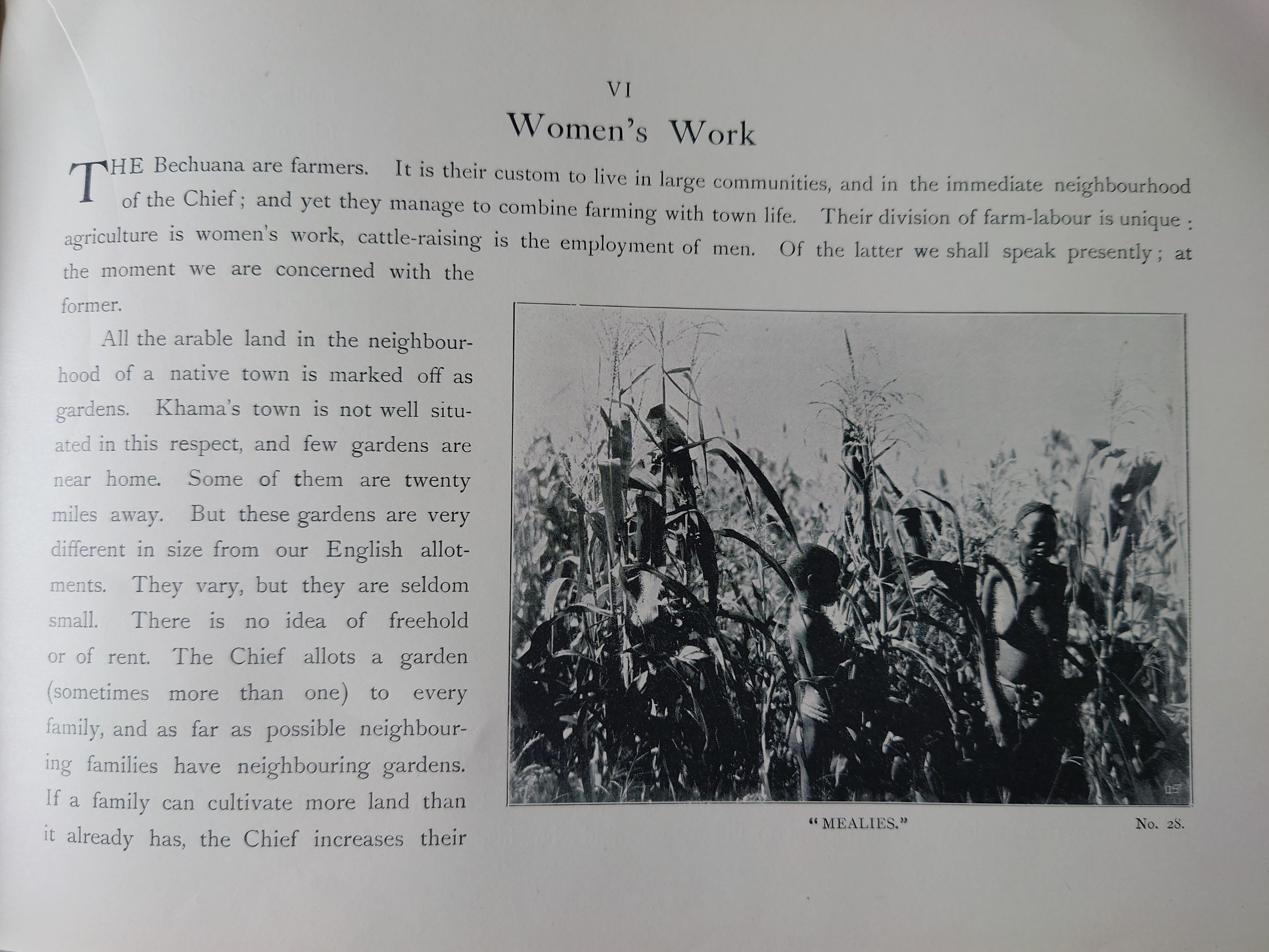 Native Life On The Transvaal Border - Auction #102 ...