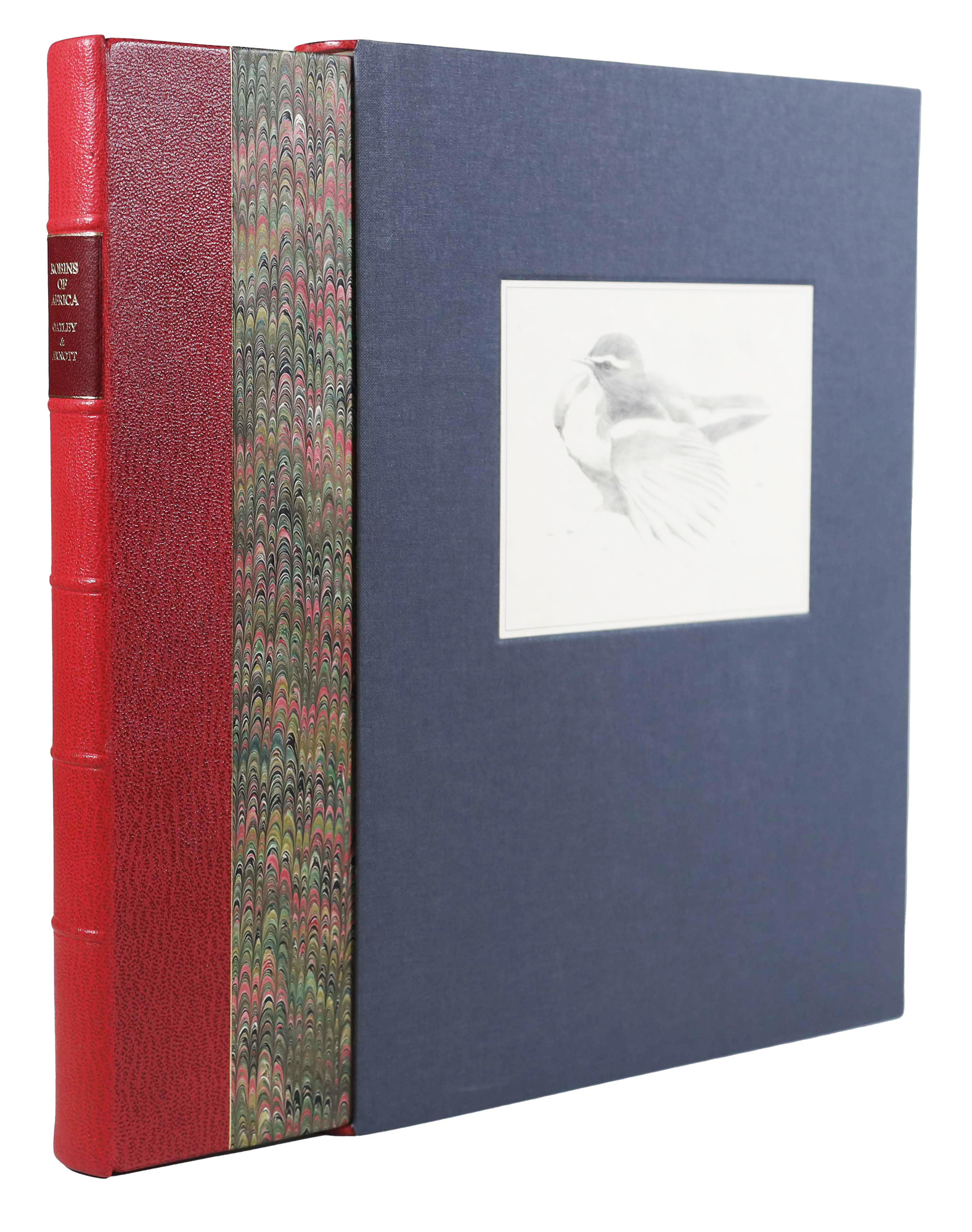 Robins Of Africa (collectors' Edition) - Auction #104 ...