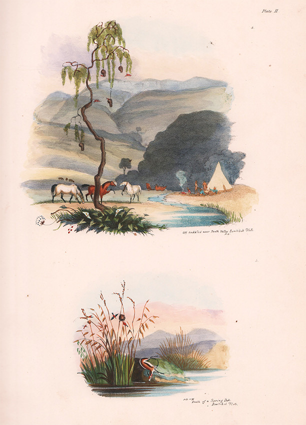 South African Sketches - Auction #104 | AntiquarianAuctions.com