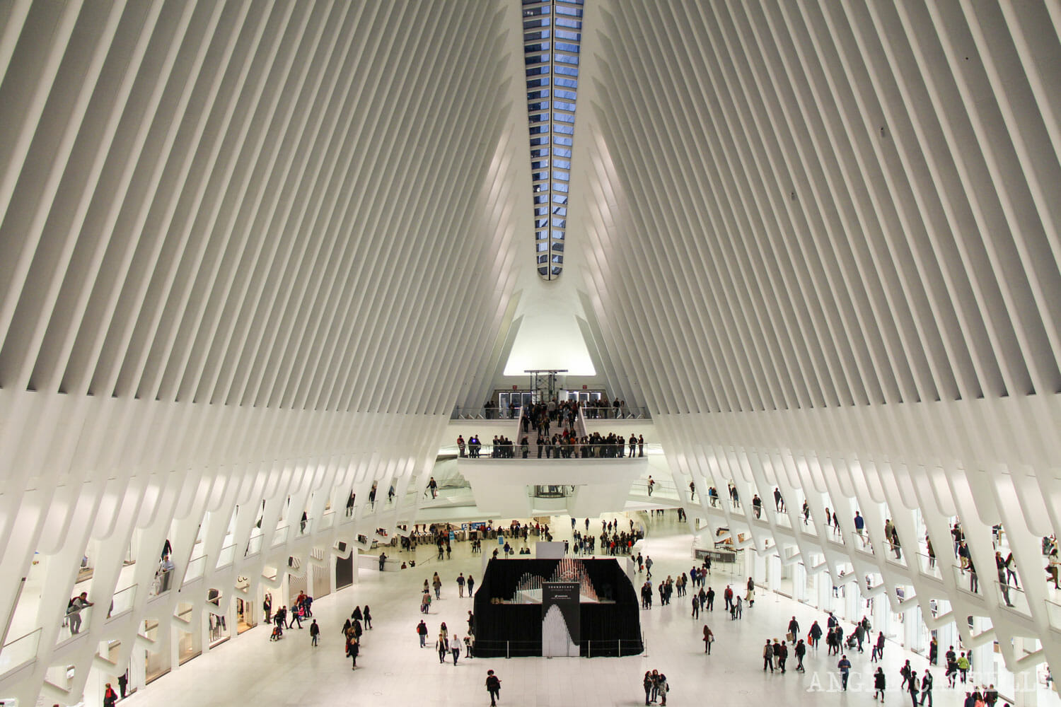 Guía del World Trade Center: los lugares imprescindibles