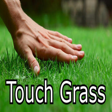 Touch grass - PLAYCANVAS