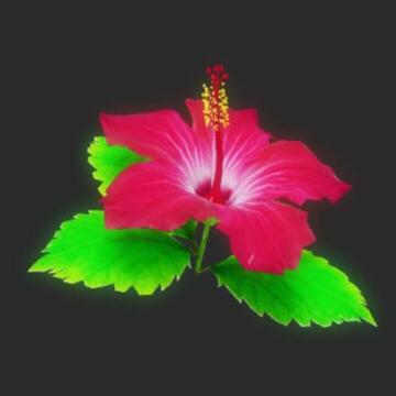 AR_bubble DragDrop - PLAYCANVAS