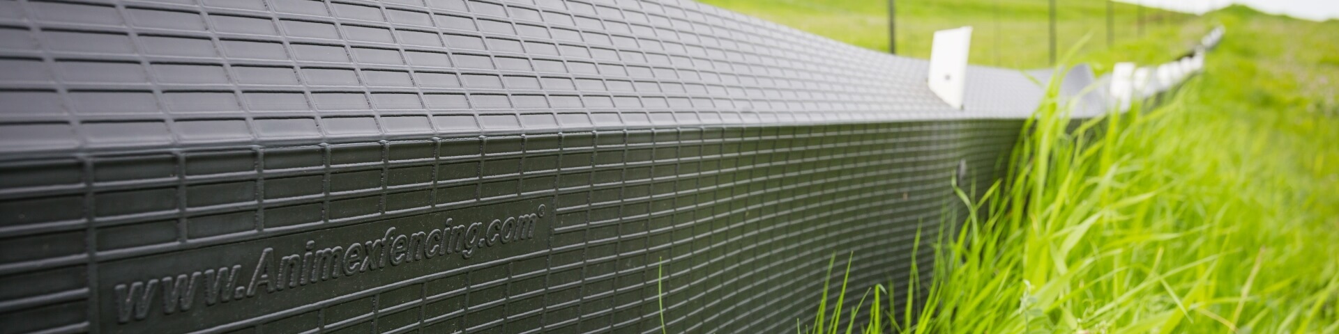 Wildlife Exclusion Fencing | Ecosupport | Ecosupport