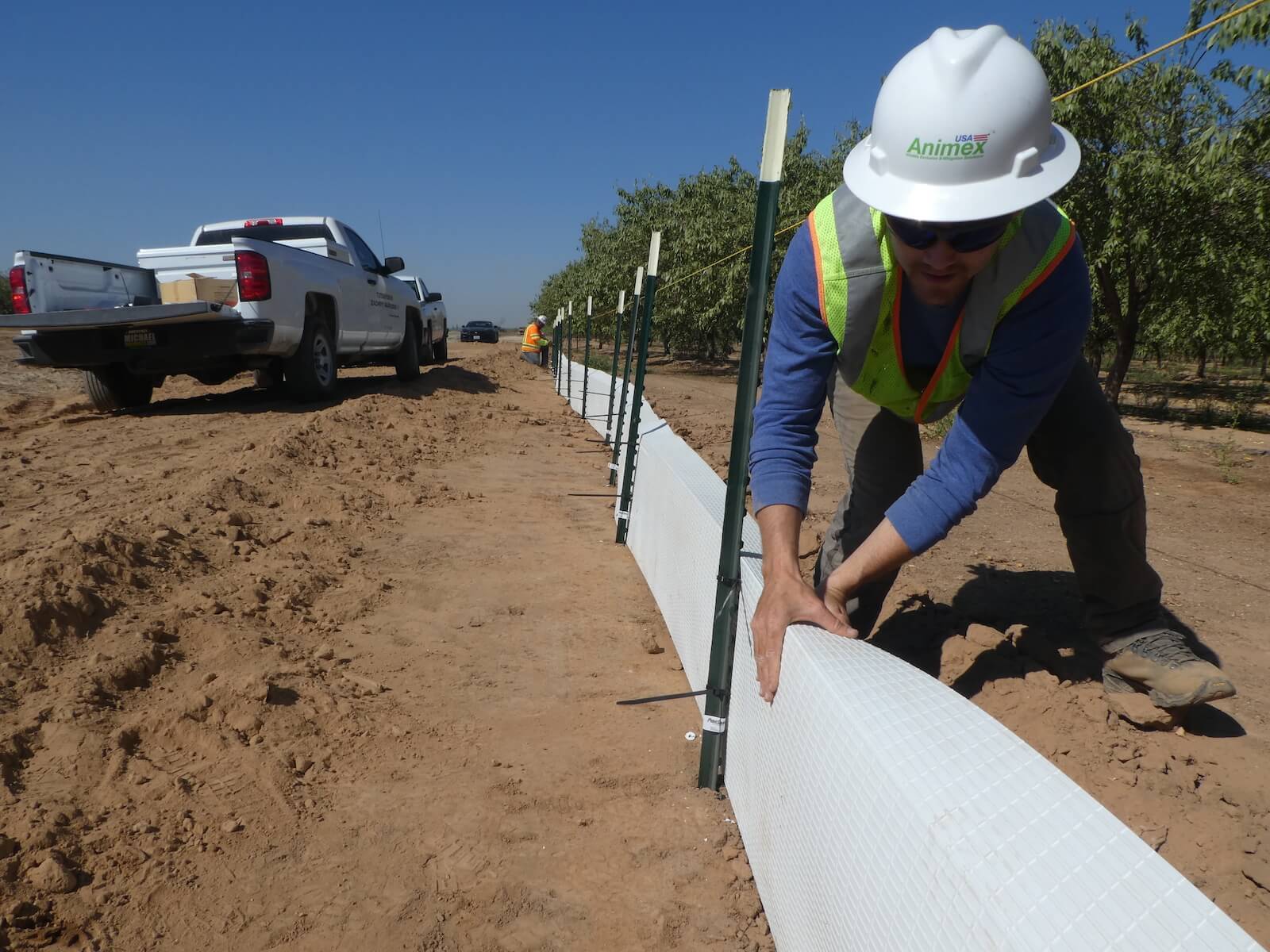 Turtle Fencing | Animex | Animex