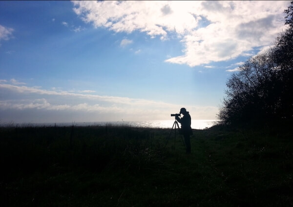 Bird Surveys - Phase I & II surveys in the UK | Ecosupport | Ecosupport