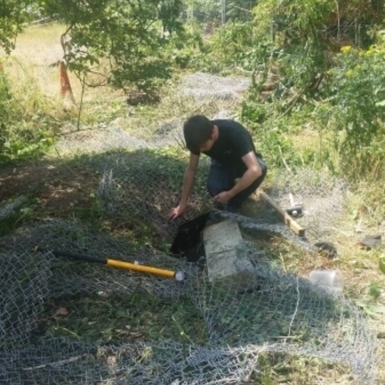 Badger Surveys - Phase I & II surveys in the UK | Ecosupport | Ecosupport