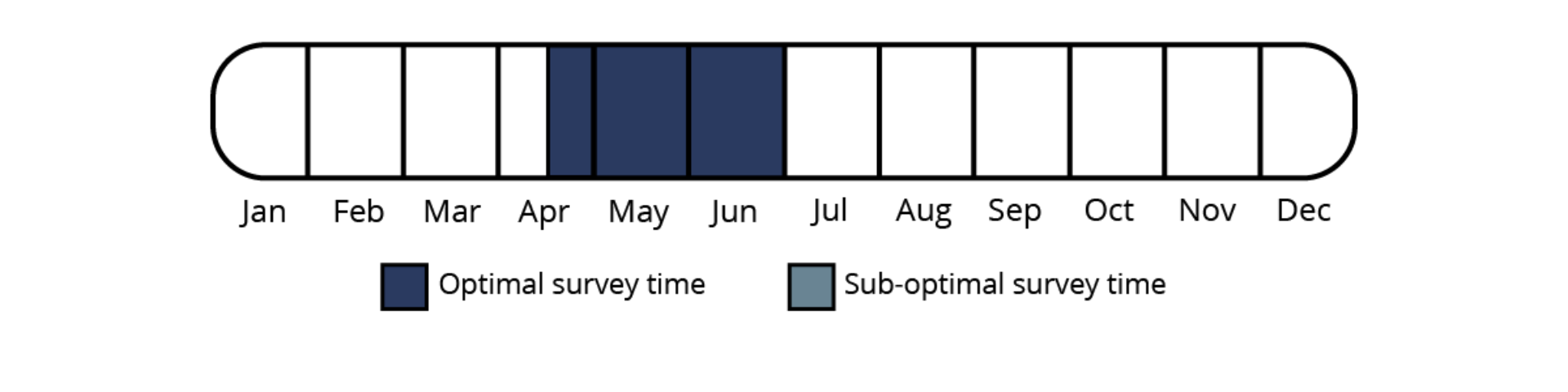 Ecological Survey Calendar | Ecosupport | Ecosupport