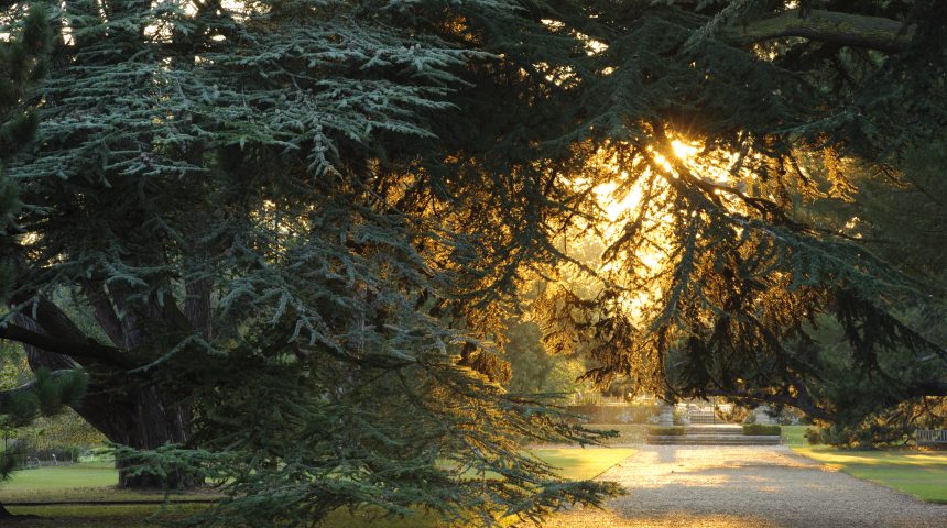 Supported Publications - Cambridge University Botanic Garden