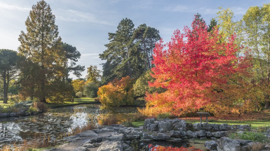 Welcome to Cambridge University Botanic Garden - Find Out More