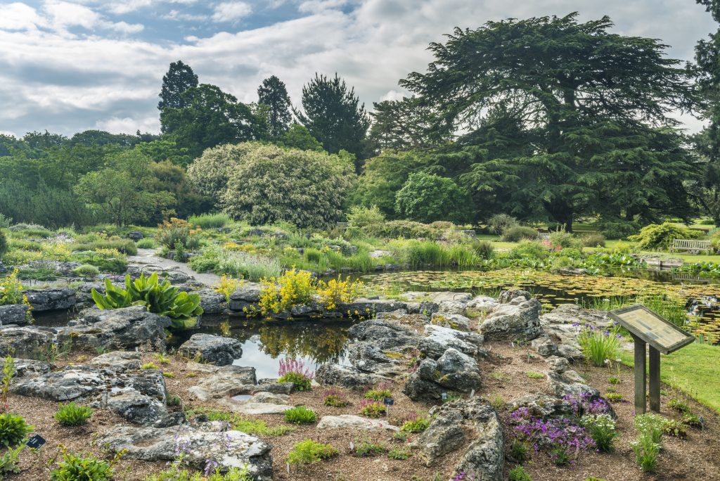 Rock Garden - Cambridge Botanic Garden