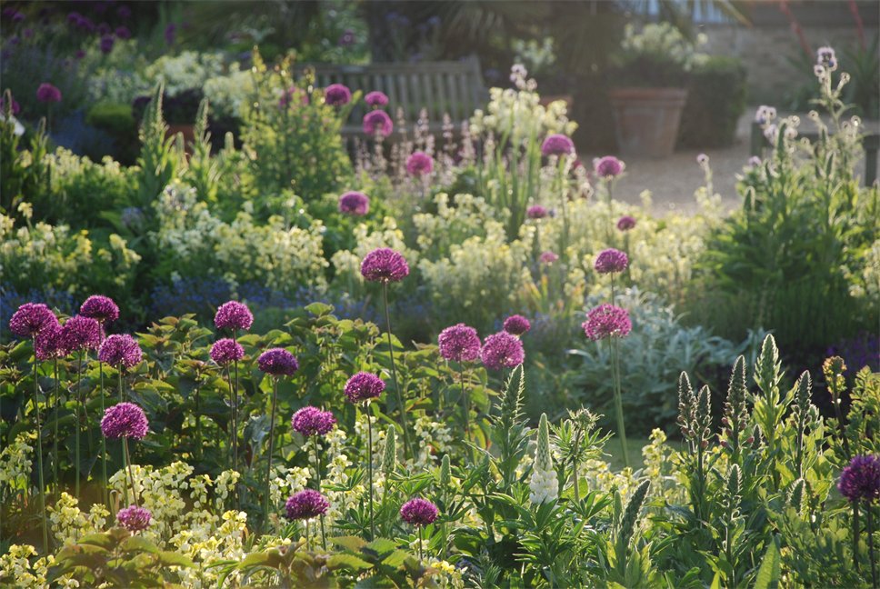 - Cambridge Botanic Garden