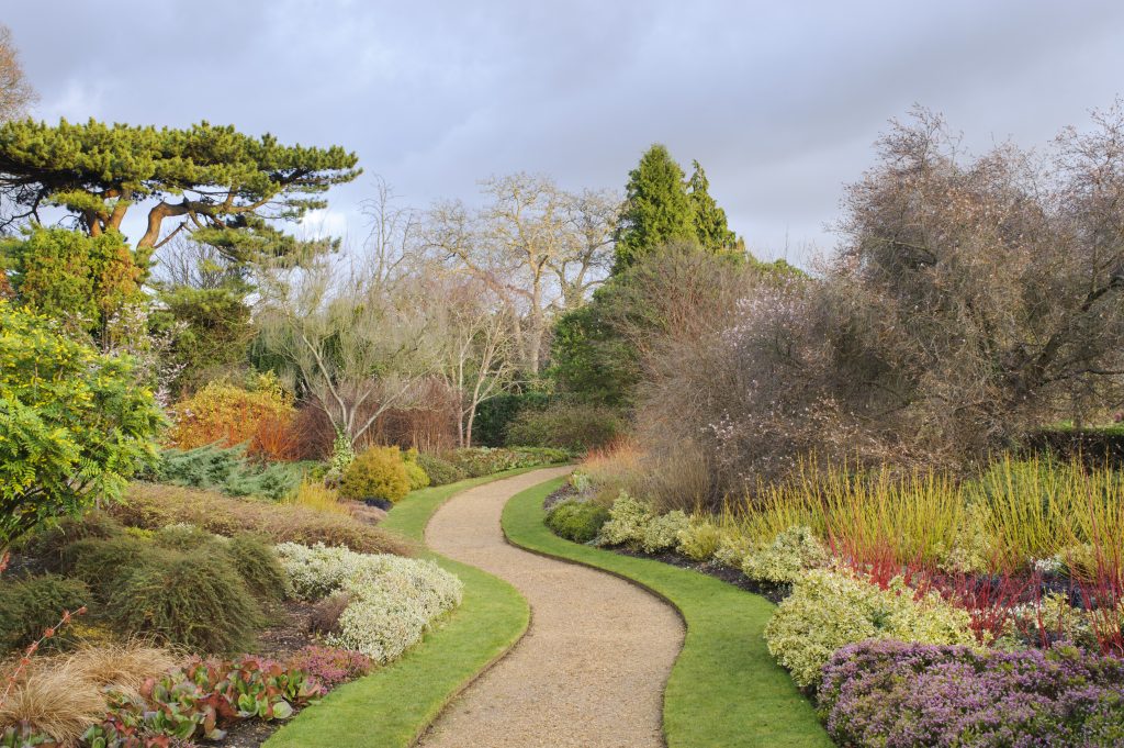 Visit the Winter Garden - Cambridge Botanic Garden