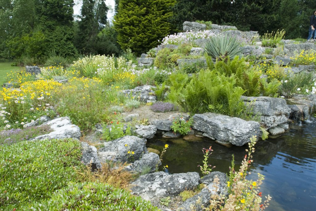 Rock garden - Cambridge Botanic Garden