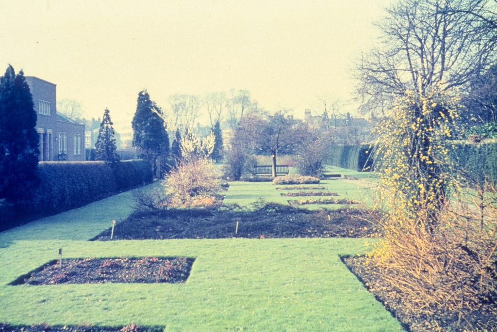 Old Winter Garden c 1959/60 - Cambridge Botanic Garden