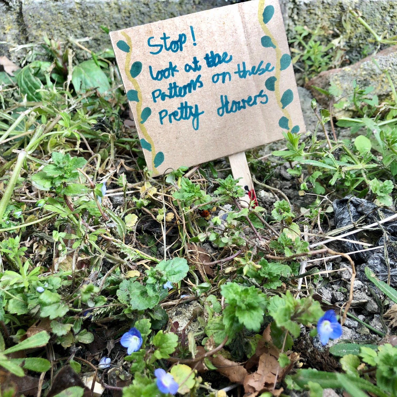 Tiny sign - Cambridge Botanic Garden