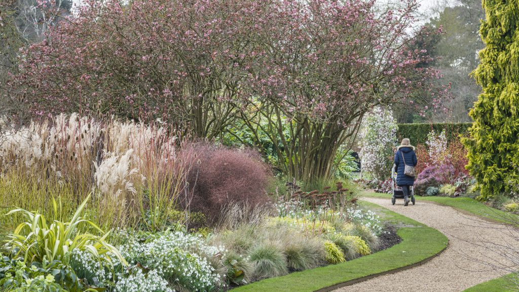 Ticket Prices - Cambridge Botanic Garden