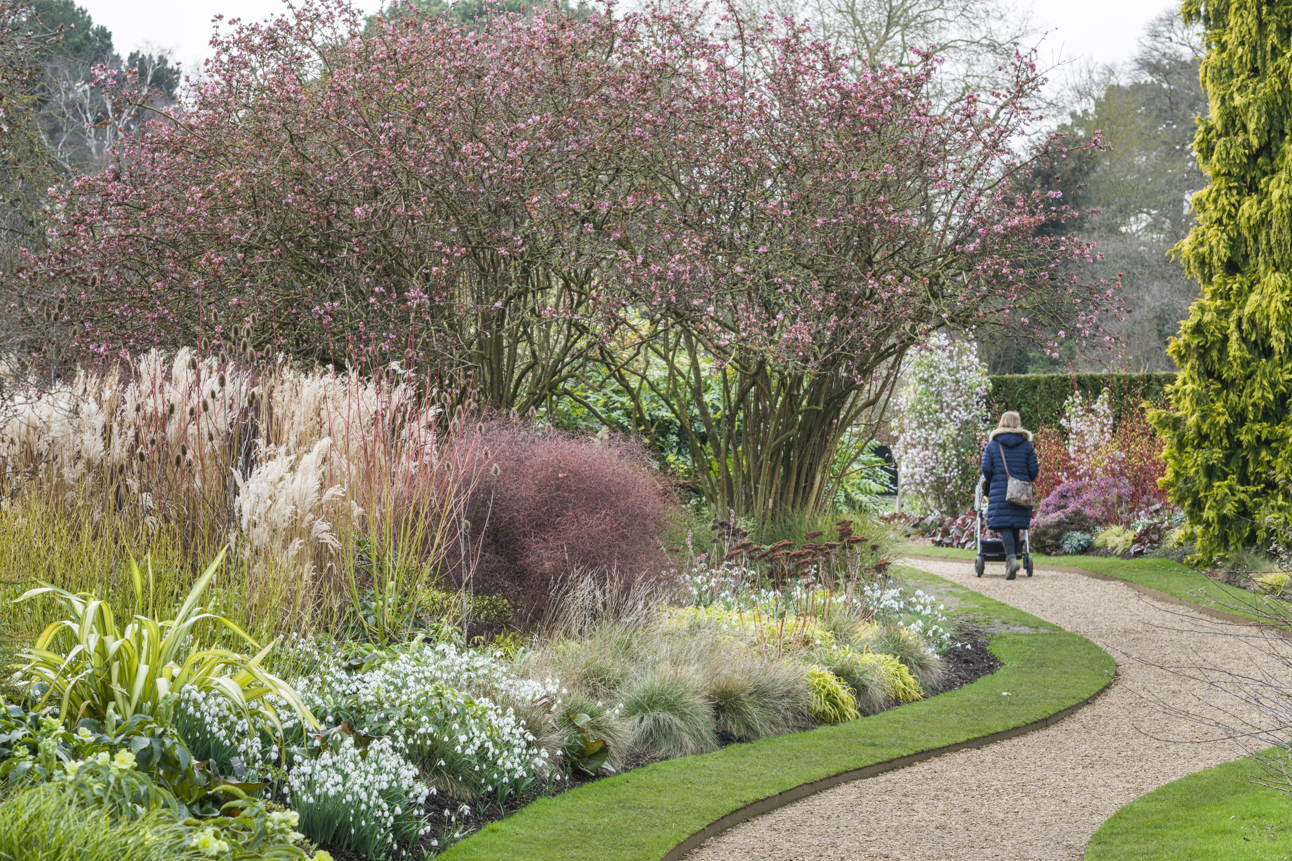 Winter Garden and Visitors_20A9296 - Cambridge Botanic Garden