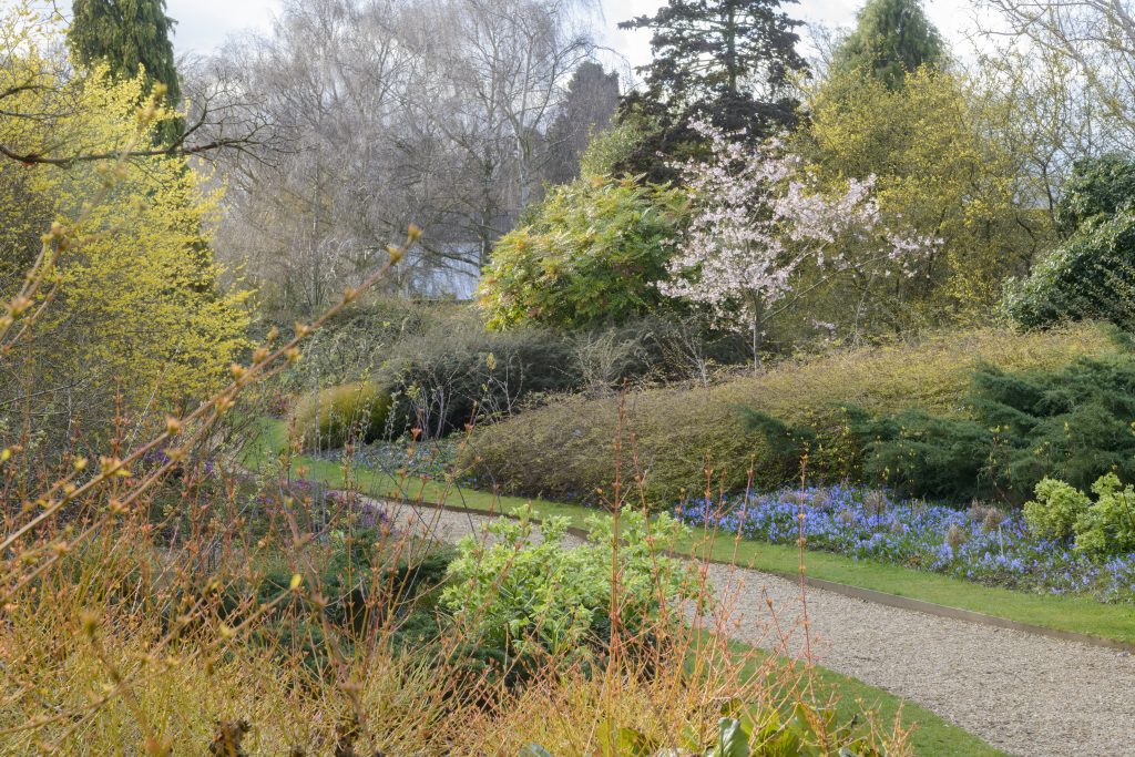 Visit the Winter Garden - Cambridge Botanic Garden