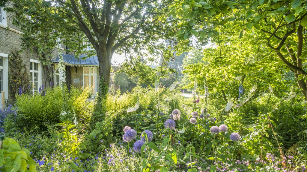 Photography Competition - capture the spirit and beauty of Cambridge ...