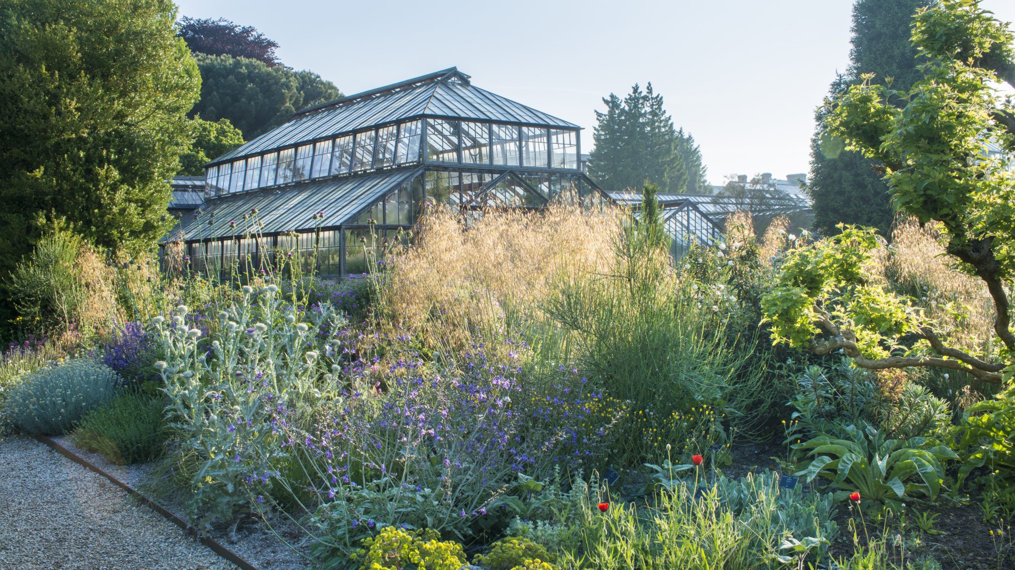 'Capture the spirit and beauty of Cambridge University Botanic Garden ...