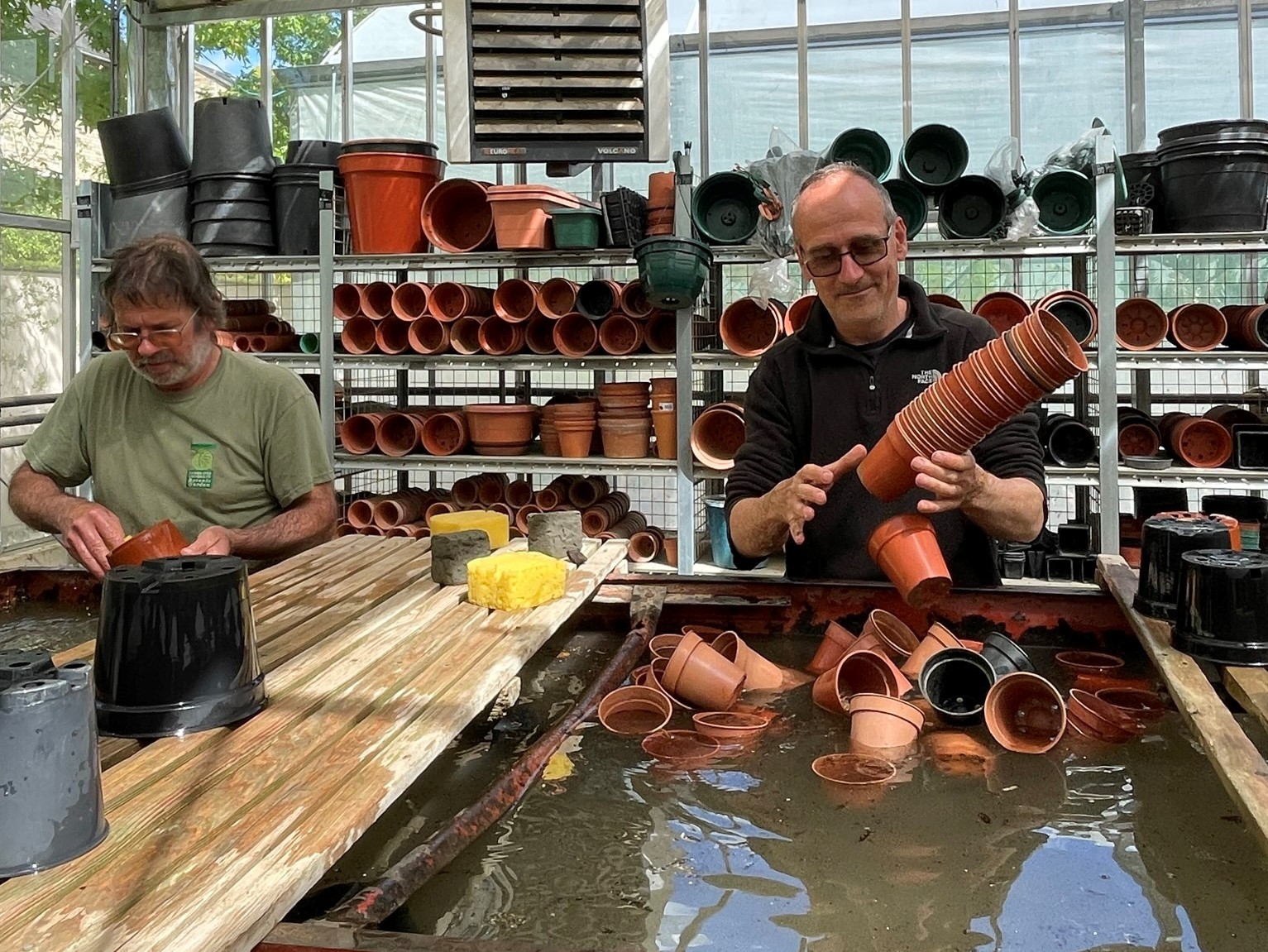 Pot washing.landscape - Cambridge Botanic Garden