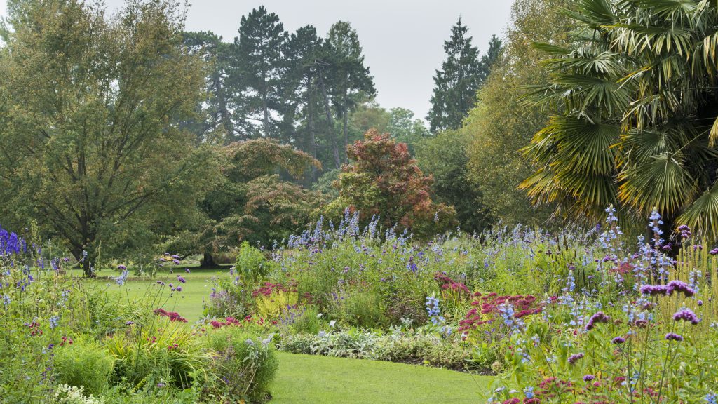 Welcome to Cambridge University Botanic Garden - Find Out More