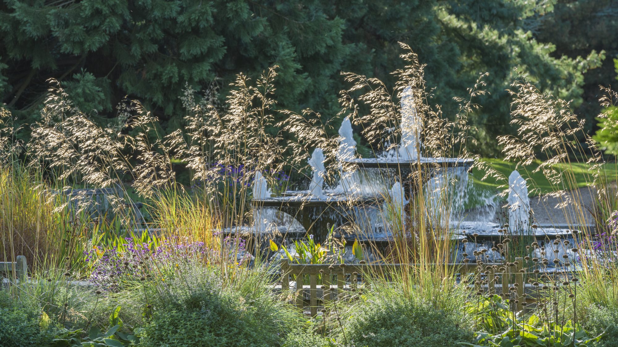 Welcome to Cambridge Botanic Garden - Find Out More