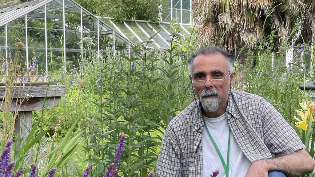 Meet CUBG’s new Artist-in-Residence, Nabil Ali - Cambridge University ...